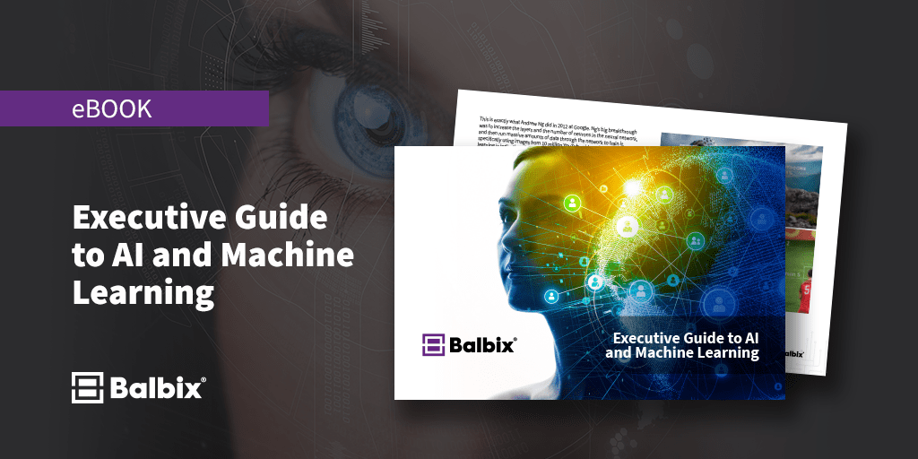eBook: Executive Guide to AI and Machine Learning
